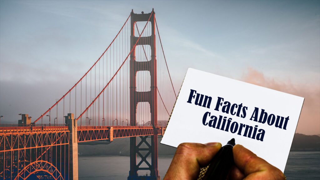 Top 10 Fun Facts About California That Will Make You Rethink Everything ...